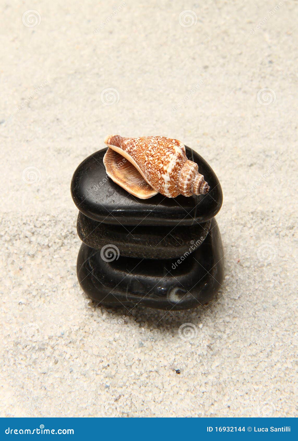 Beach Stack stock photo. Image of peace, conch, shore - 16932144