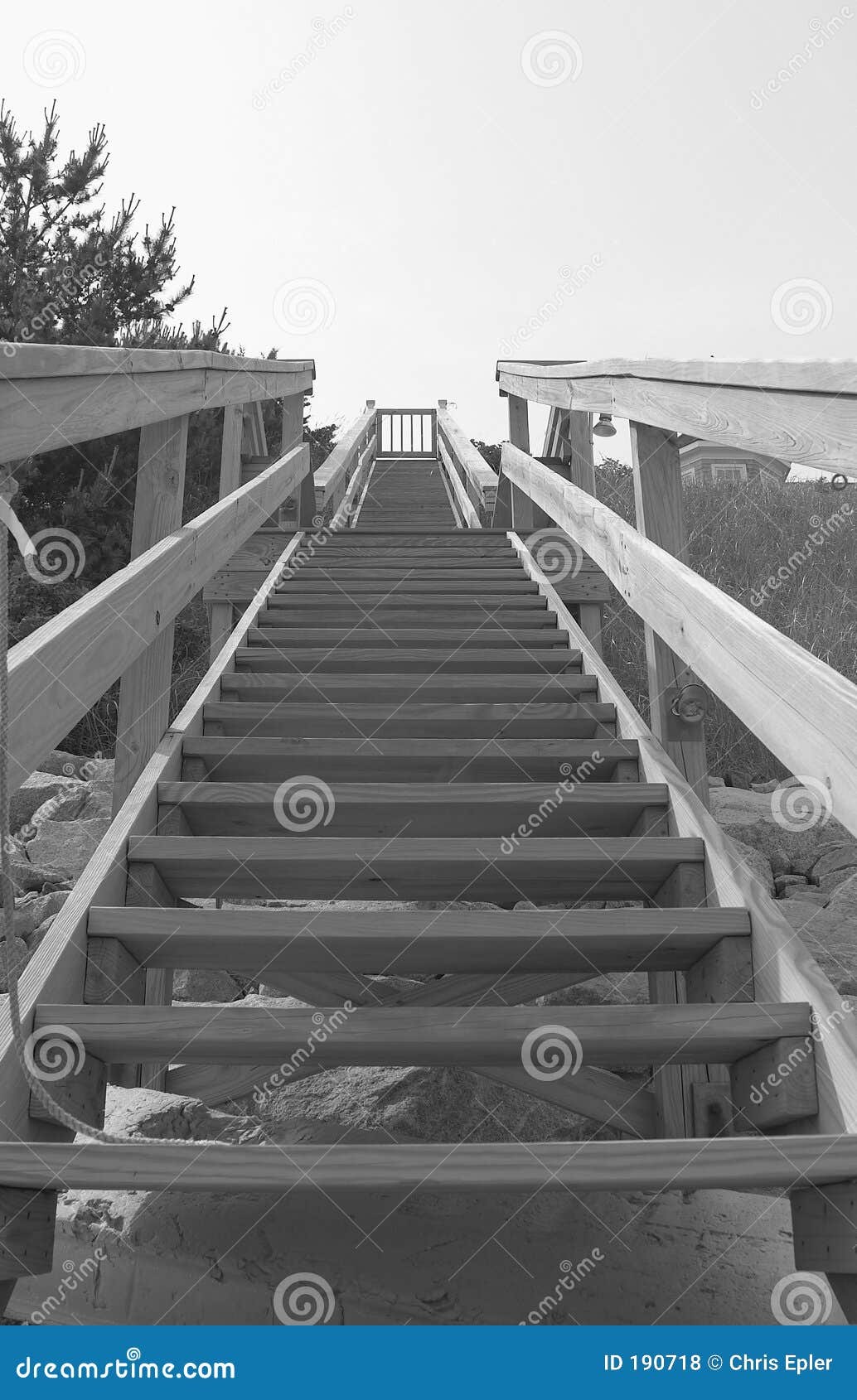 Beach Stairs 1 stock photo. Image of wood, beach, outdoors - 190718