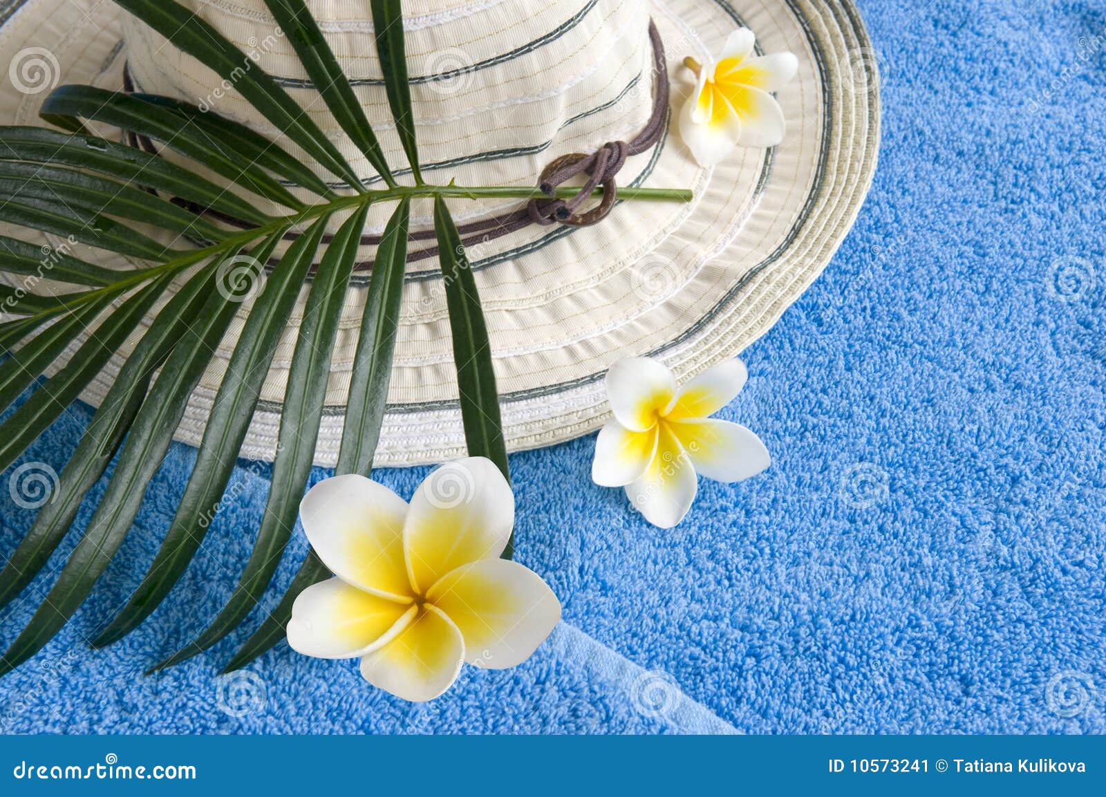 Beach still-life stock image. Image of tourism, panama - 10573241