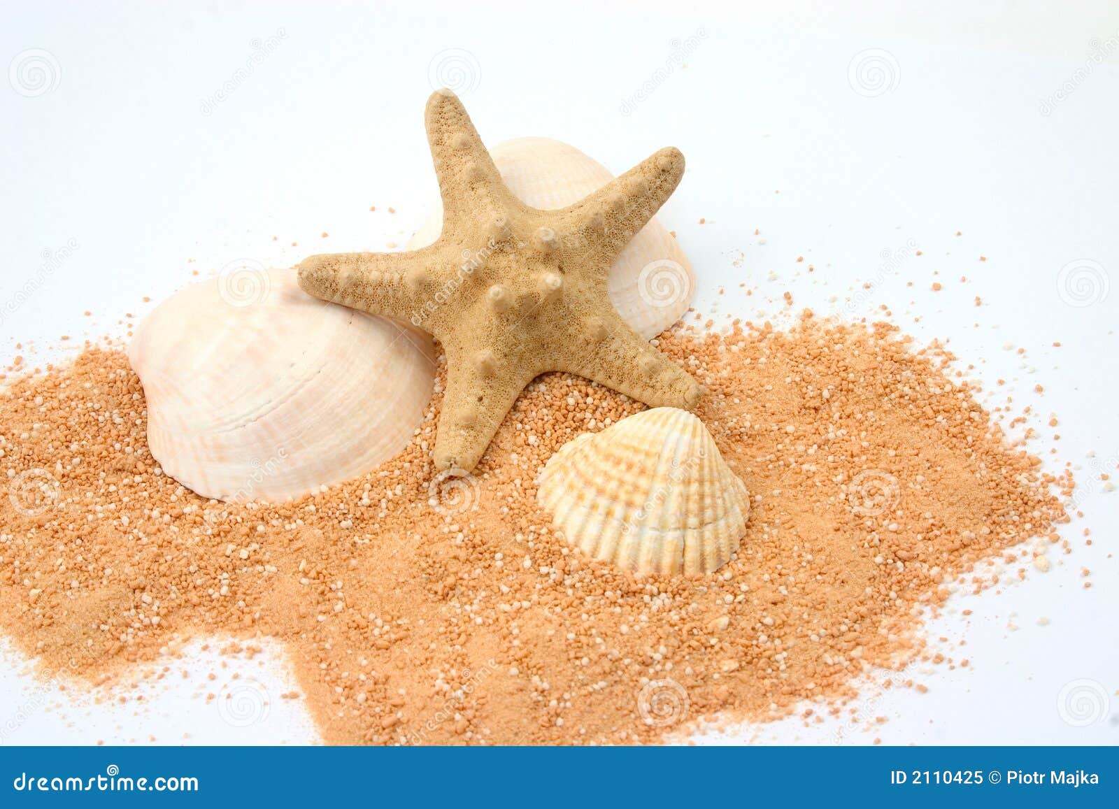 Beach still-life stock image. Image of grain, starfish - 2110425