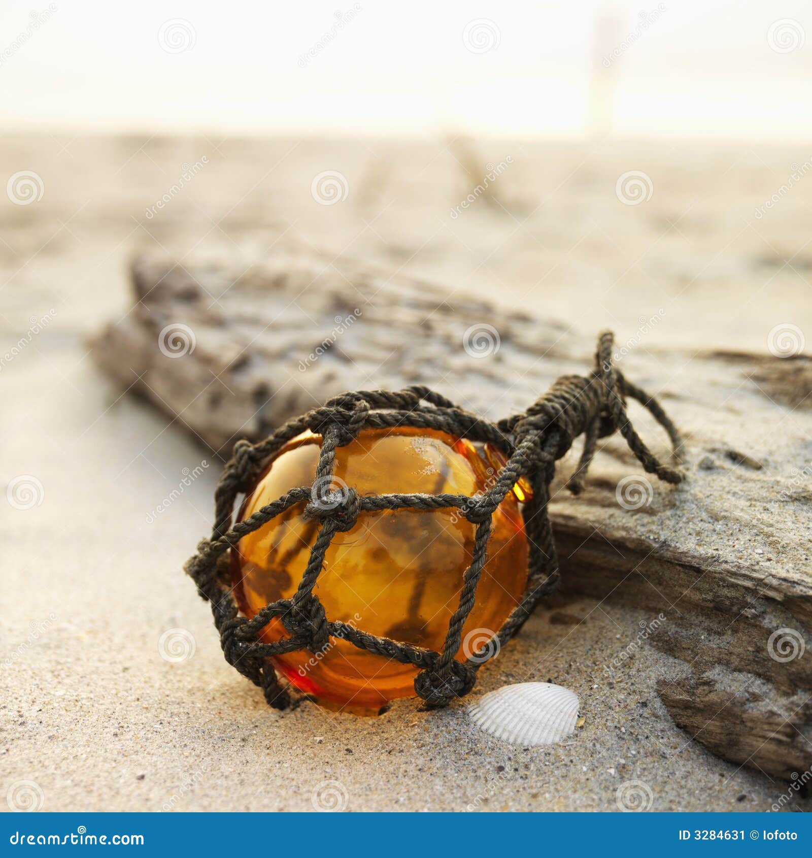 Beach still life. stock image. Image of bald, nautical - 3284631