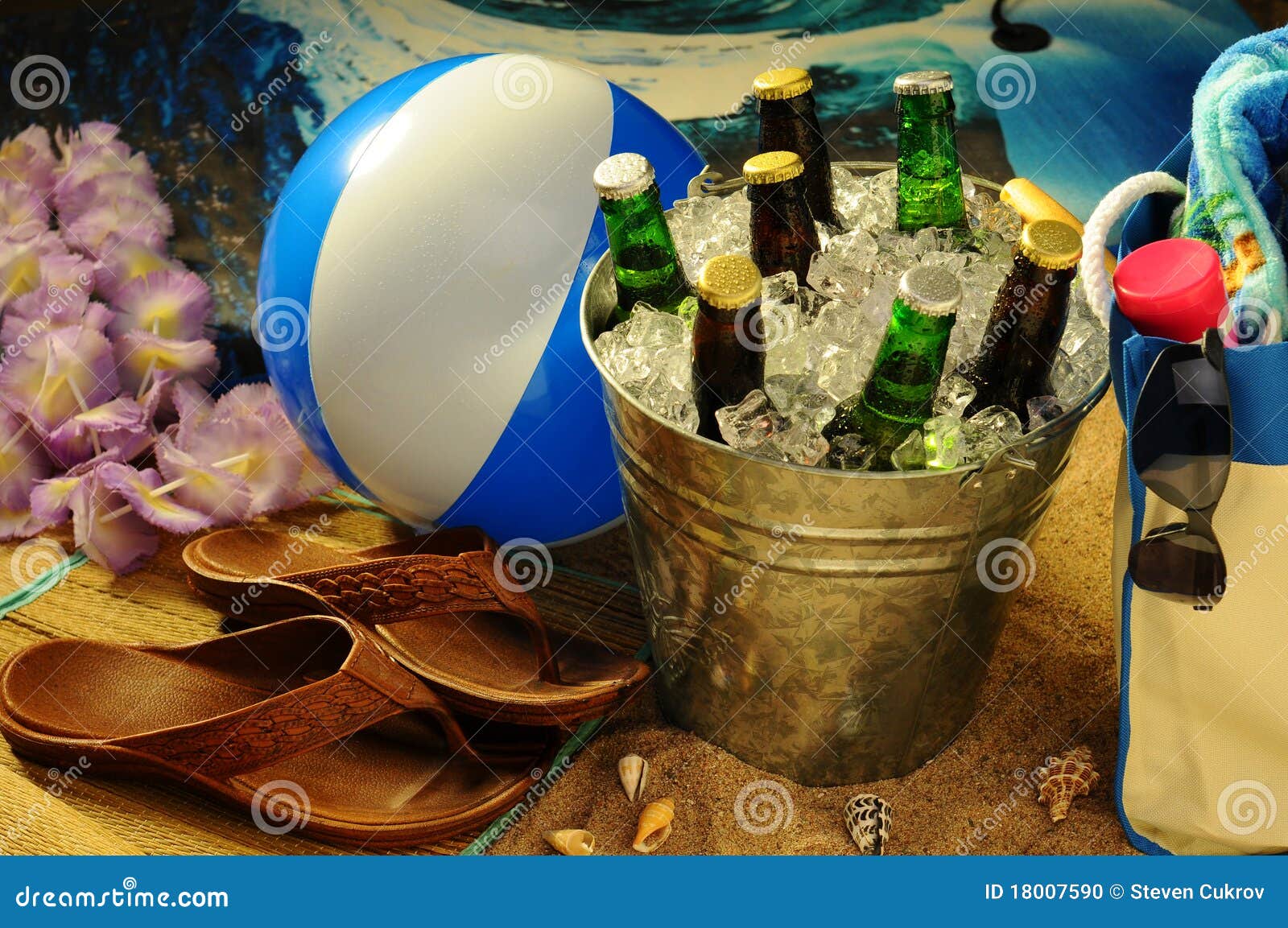 Beach Still Life with Warm Light Stock Photo - Image of seashells, cold ...