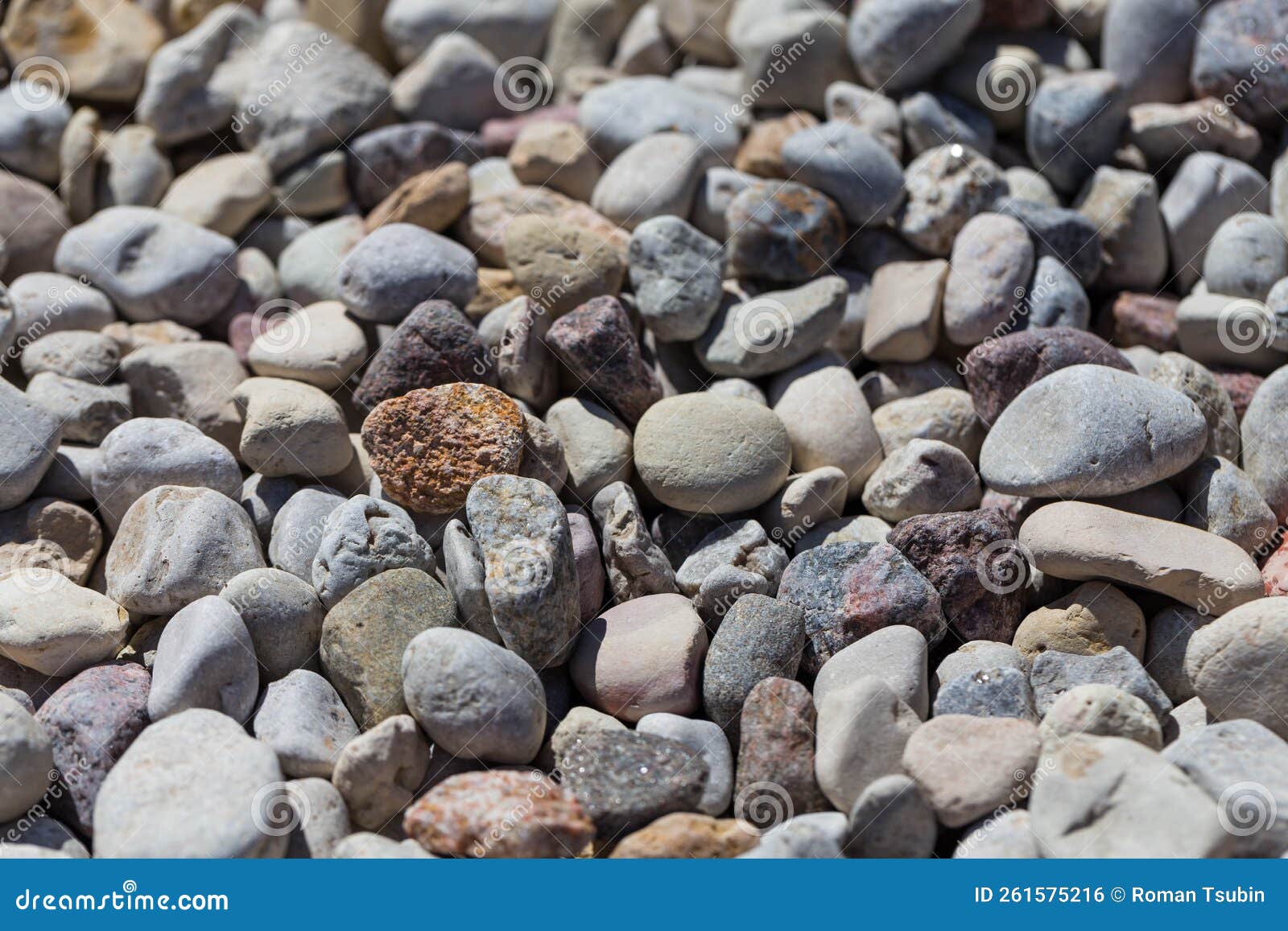Beach stone background stock photo. Image of natural - 261575216