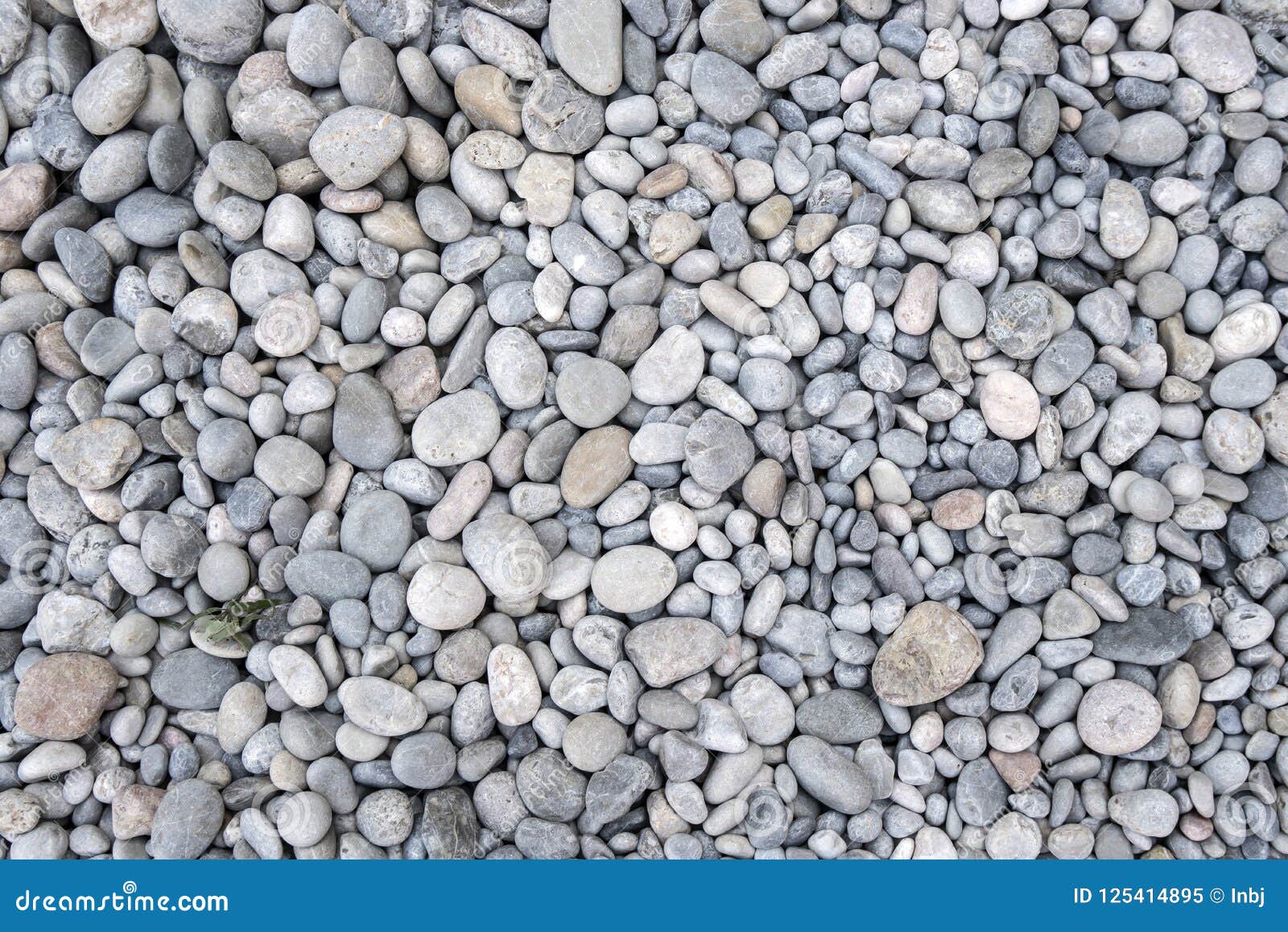 Beach stones background stock image. Image of beach - 125414895