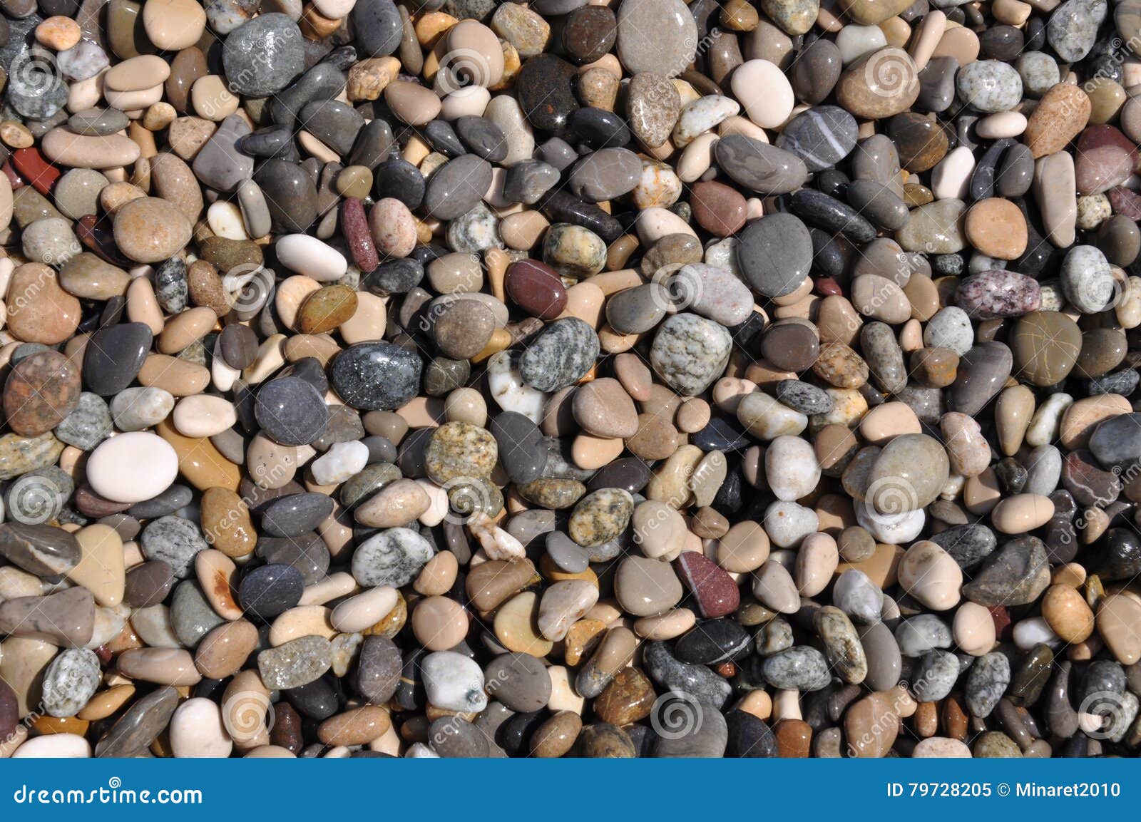 Beach Stones Closeup As Background Stock Image - Image of rocky, rock ...