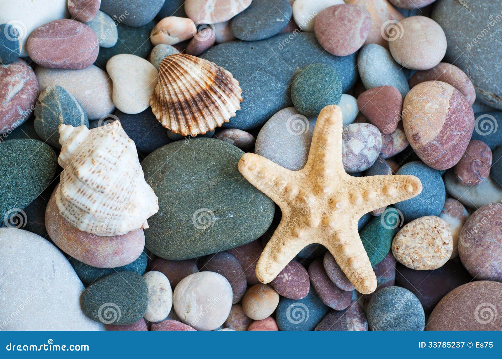 Beach stones stock image. Image of beach, shell, stone - 33785237