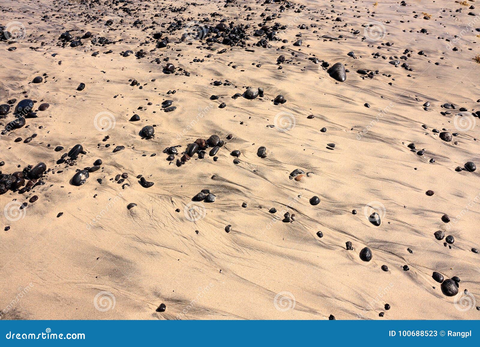 Beach stones in the sand stock image. Image of round - 100688523