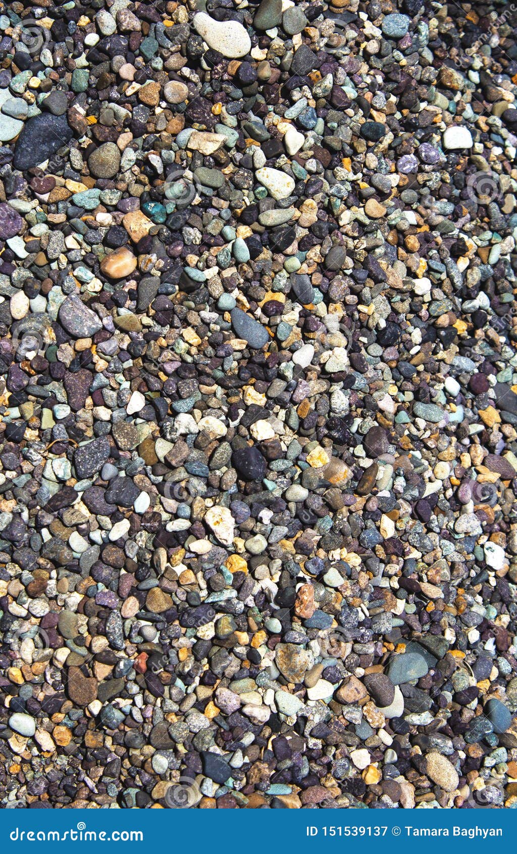 Beach Stones by the Seaside Stock Image - Image of stones, travelling ...
