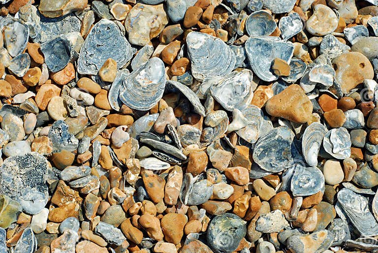 Beach Stones and Shell Background Stock Photo - Image of ocean ...