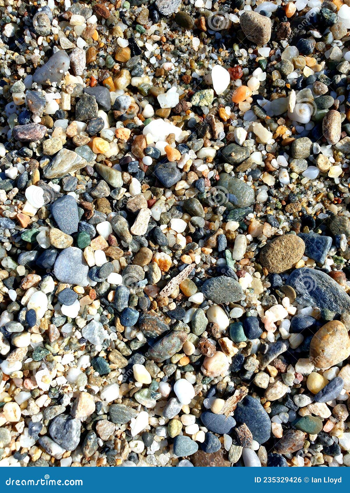 Beach Stones Varied and Beautiful Each in Their Special Way Stock Photo ...