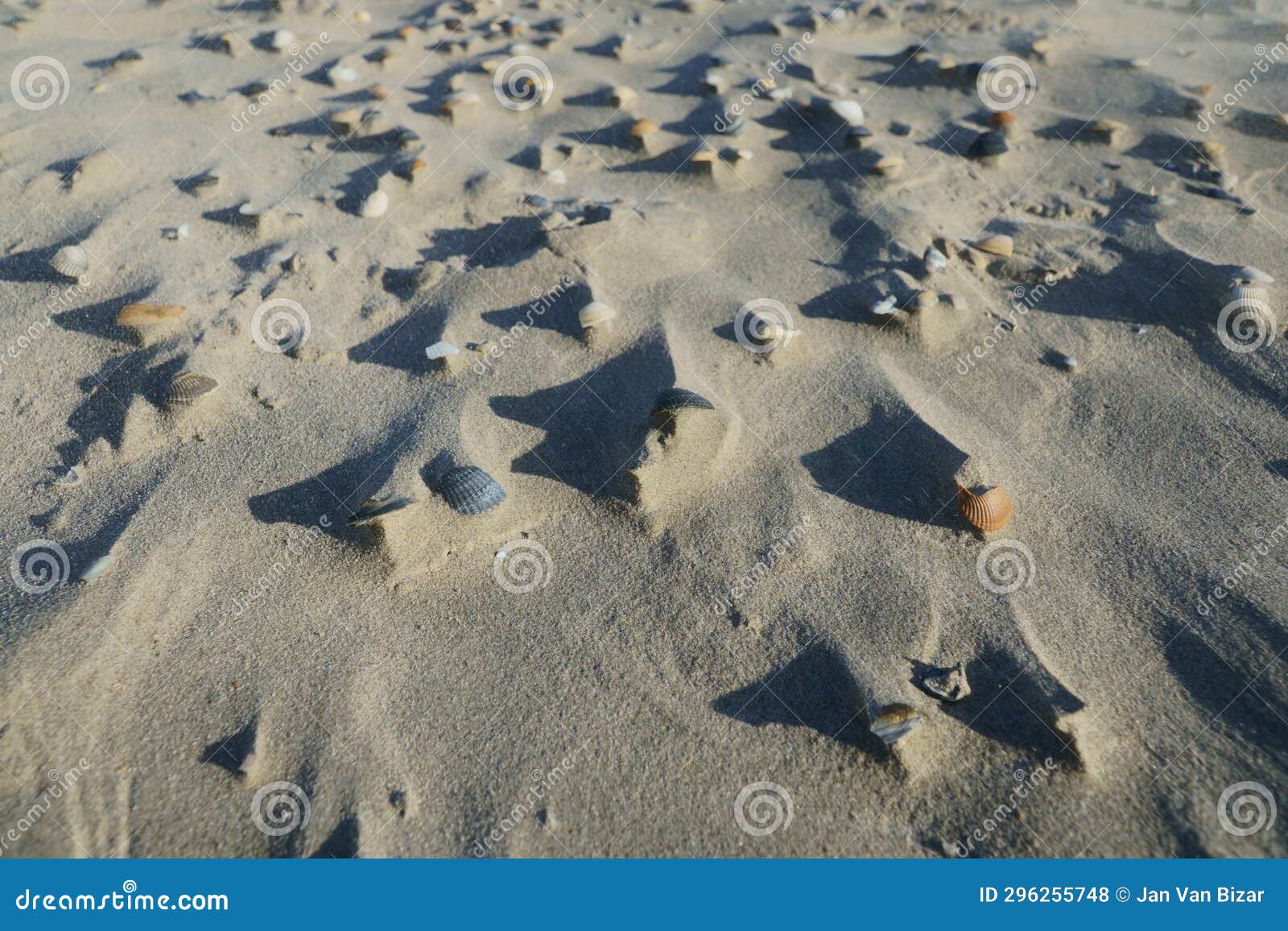 The Beach after a Storm Alian Landscape Stock Photo - Image of ...