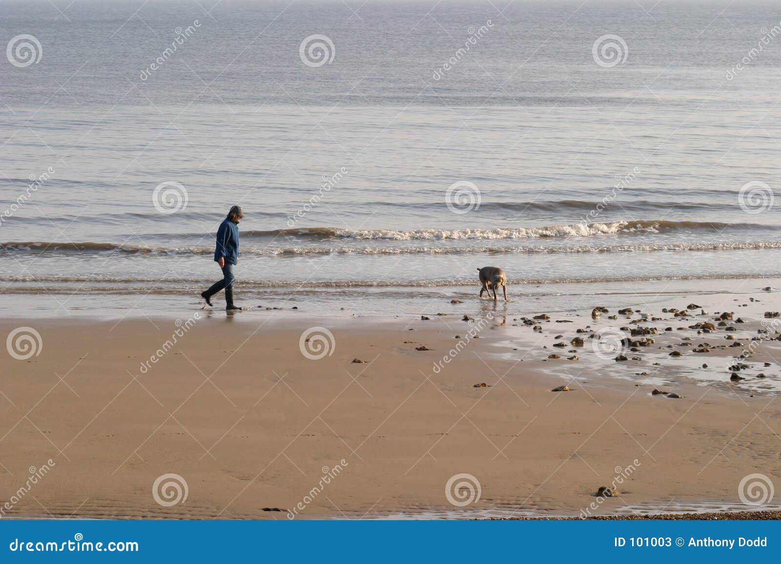 Beach Stroll stock image. Image of tidal, sand, pools, autumn - 101003
