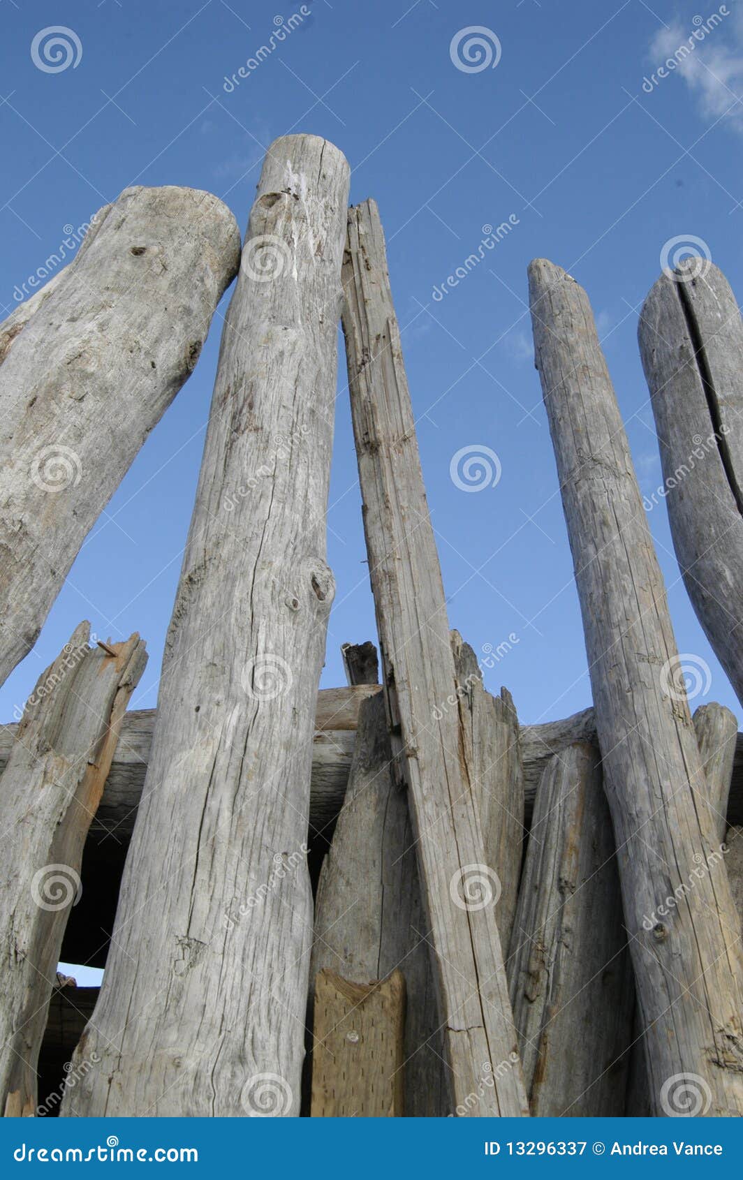 Beach structure stock image. Image of unfinished, driftwood - 13296337