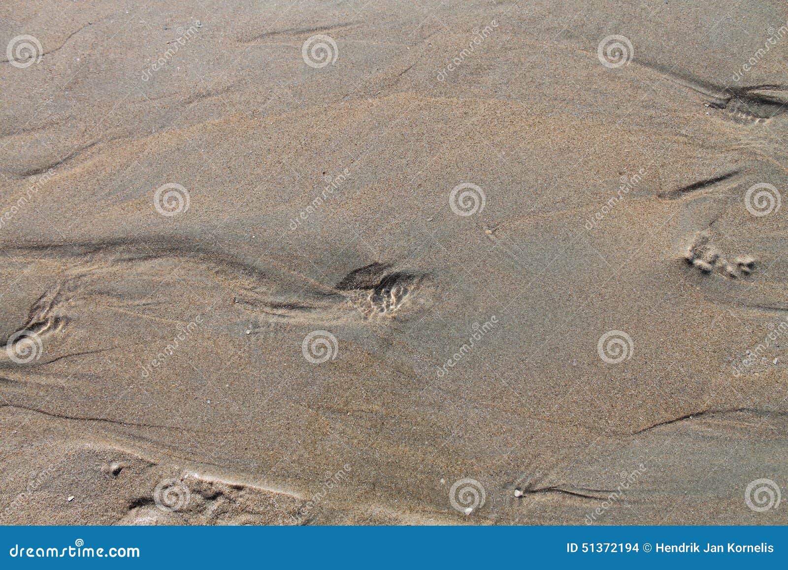 Beach Structures in the Sand Stock Photo - Image of soil, coast: 51372194