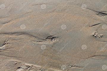 Beach Structures in the Sand Stock Photo - Image of soil, coast: 51372194