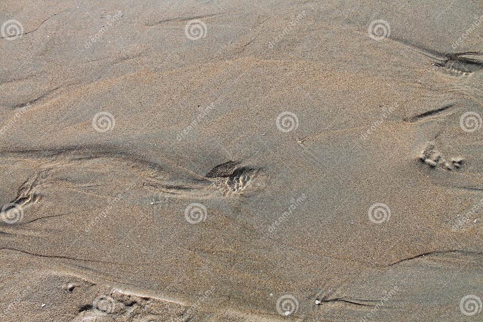 Beach Structures in the Sand Stock Photo - Image of soil, coast: 51372194