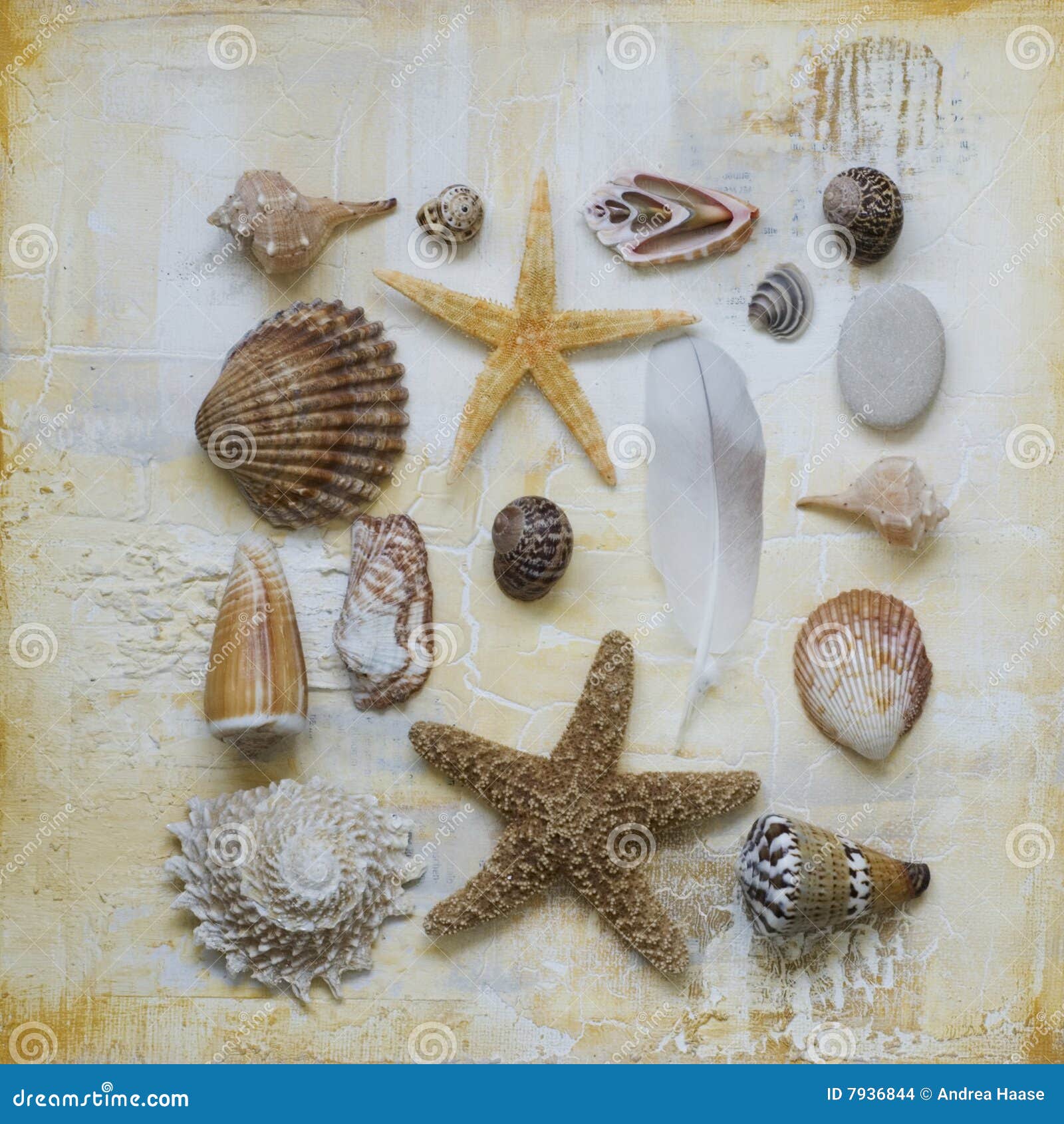 Beach stuff collage stock photo. Image of marine, maritime - 7936844