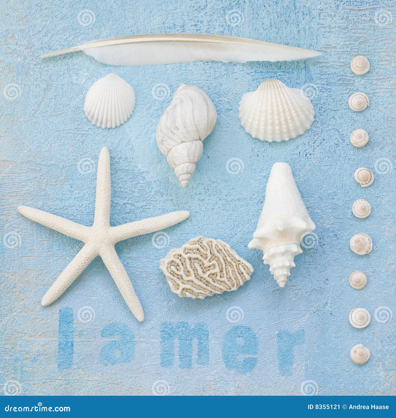 Beach stuff collage stock image. Image of word, collage - 8355121
