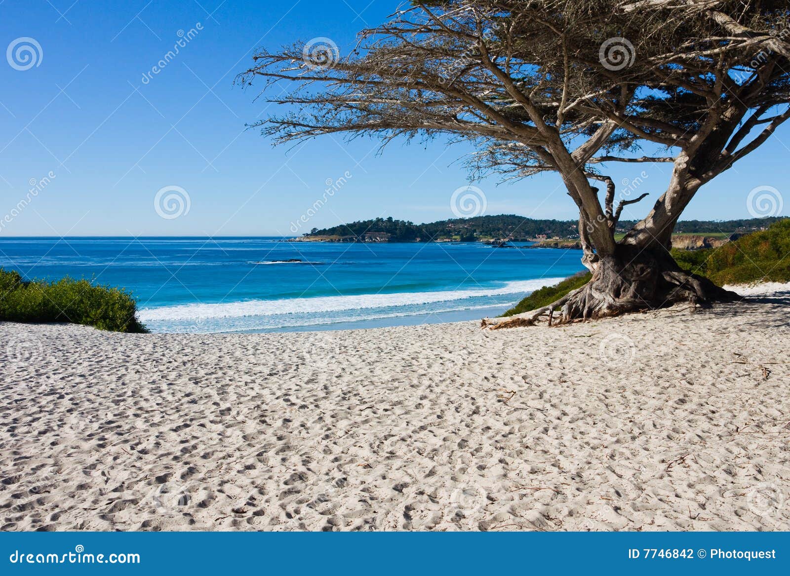 Beach on a sunny day stock photo. Image of coastline, rocks - 7746842