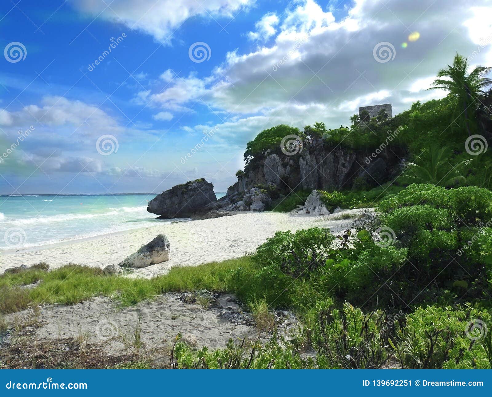Beach Sunny with Trees an Rocks Stock Image - Image of sunny, sonny ...