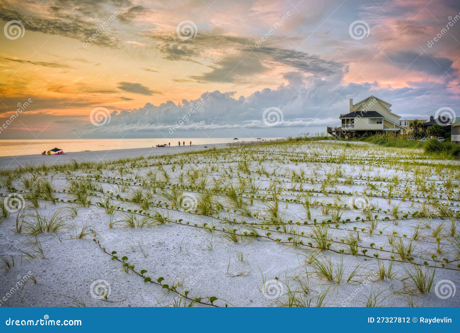Beach Sunset with Dune Reeds Stock Photo - Image of reeds, shoreline ...