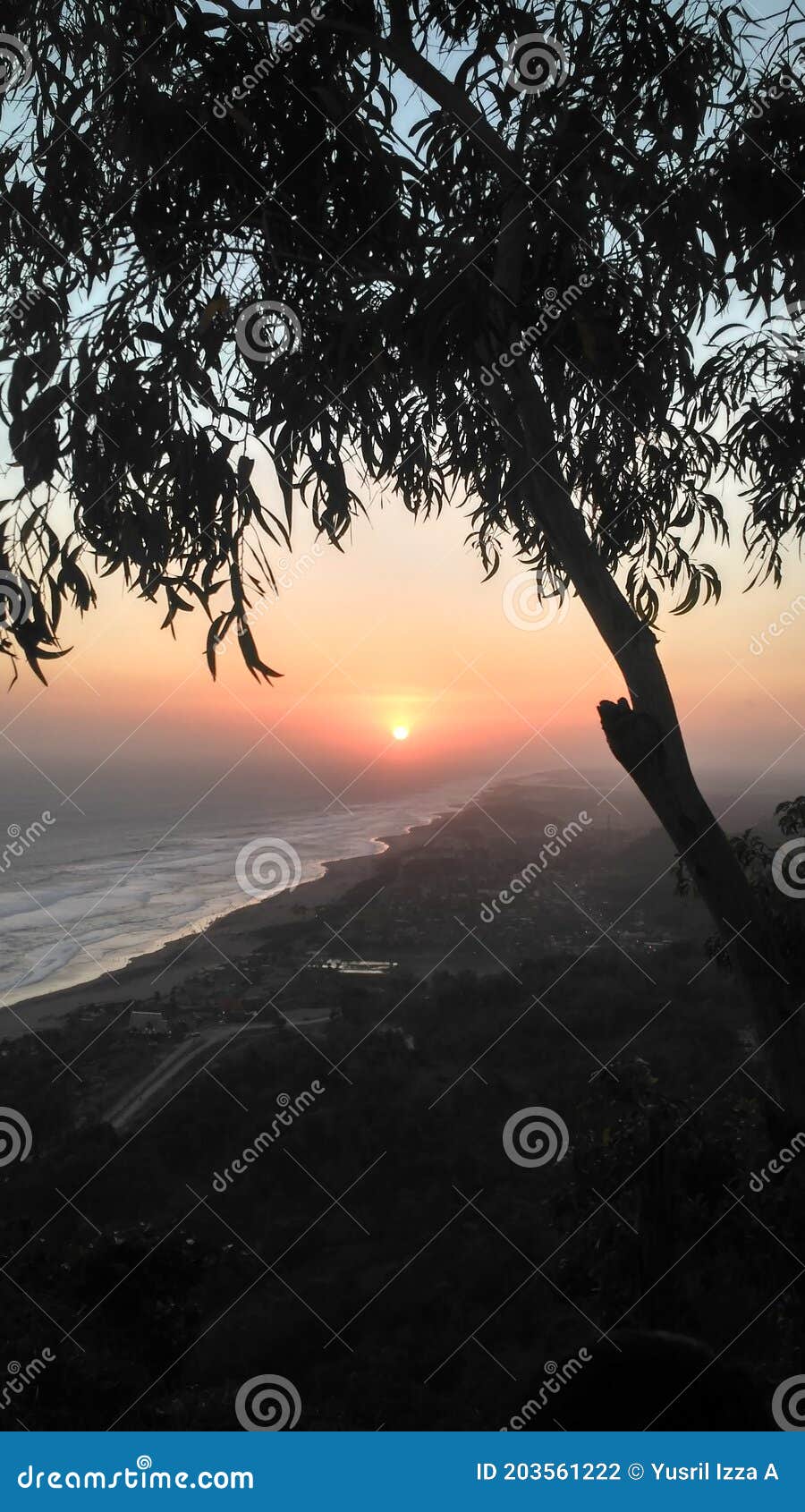 Beach Sunset Hill Tree Nature Stock Photo - Image of reflection, cloud ...
