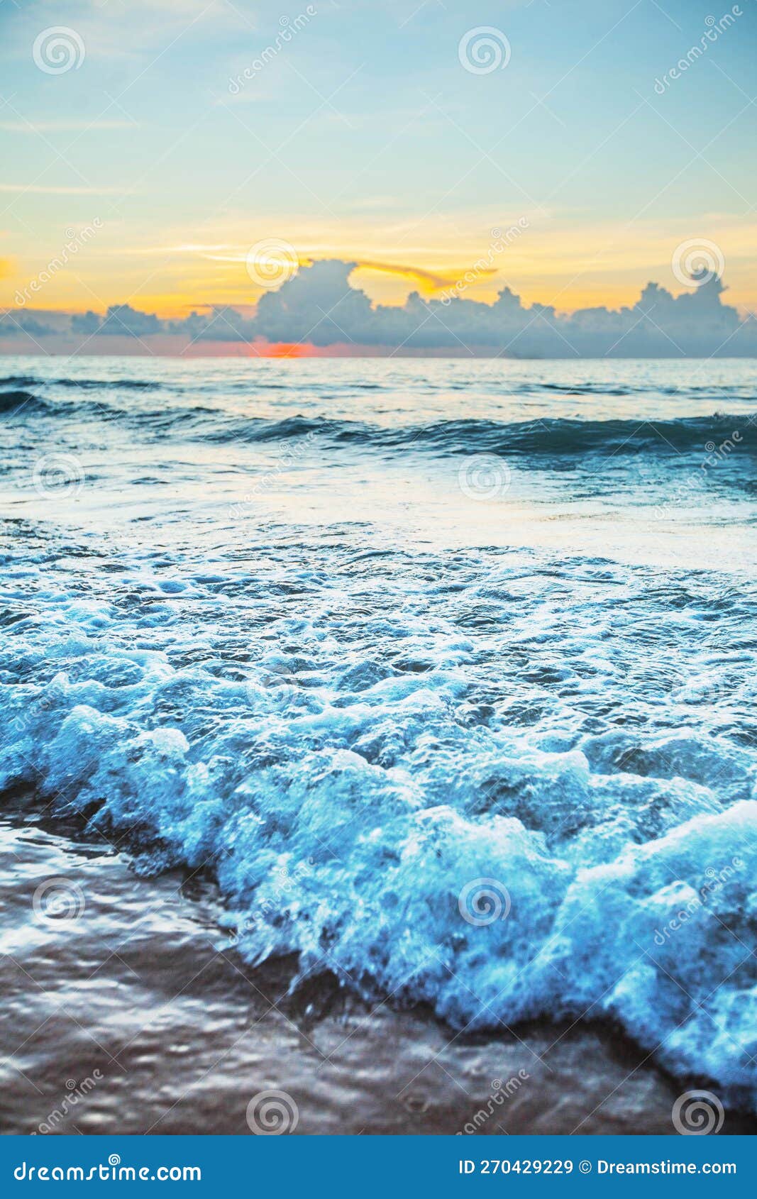 Beach Sunset Over the Tropical Sea Stock Image - Image of ocean, palma ...