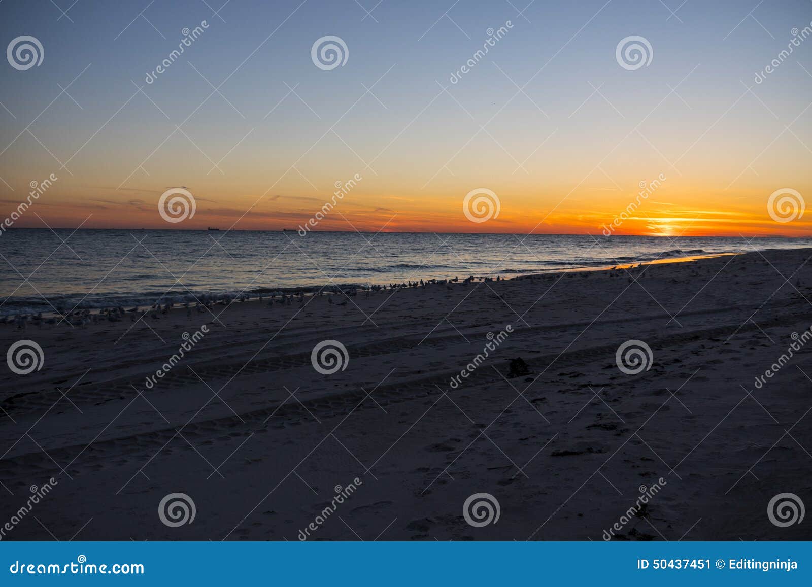 Beach Sunset 7 stock image. Image of sunset, dune, point - 50437451