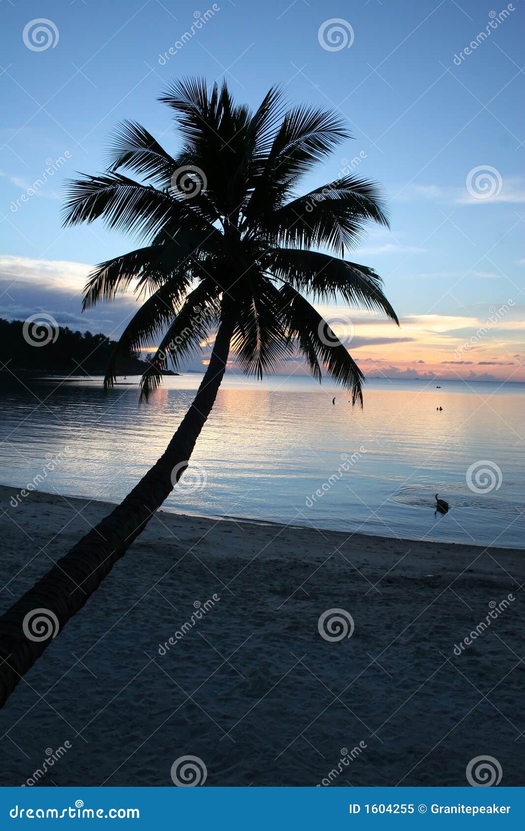 Beach Sunset - Purity stock image. Image of surat, island - 1604255