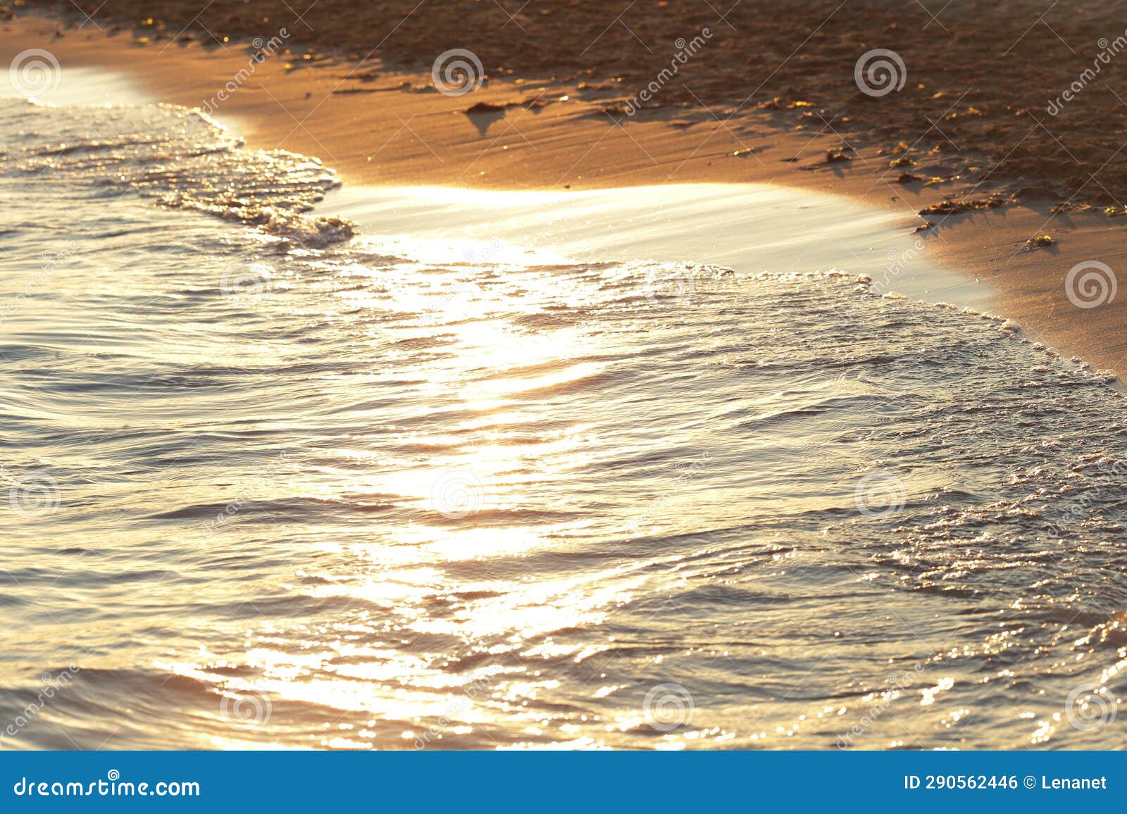 Reflection on sea water stock photo. Image of color - 290562446