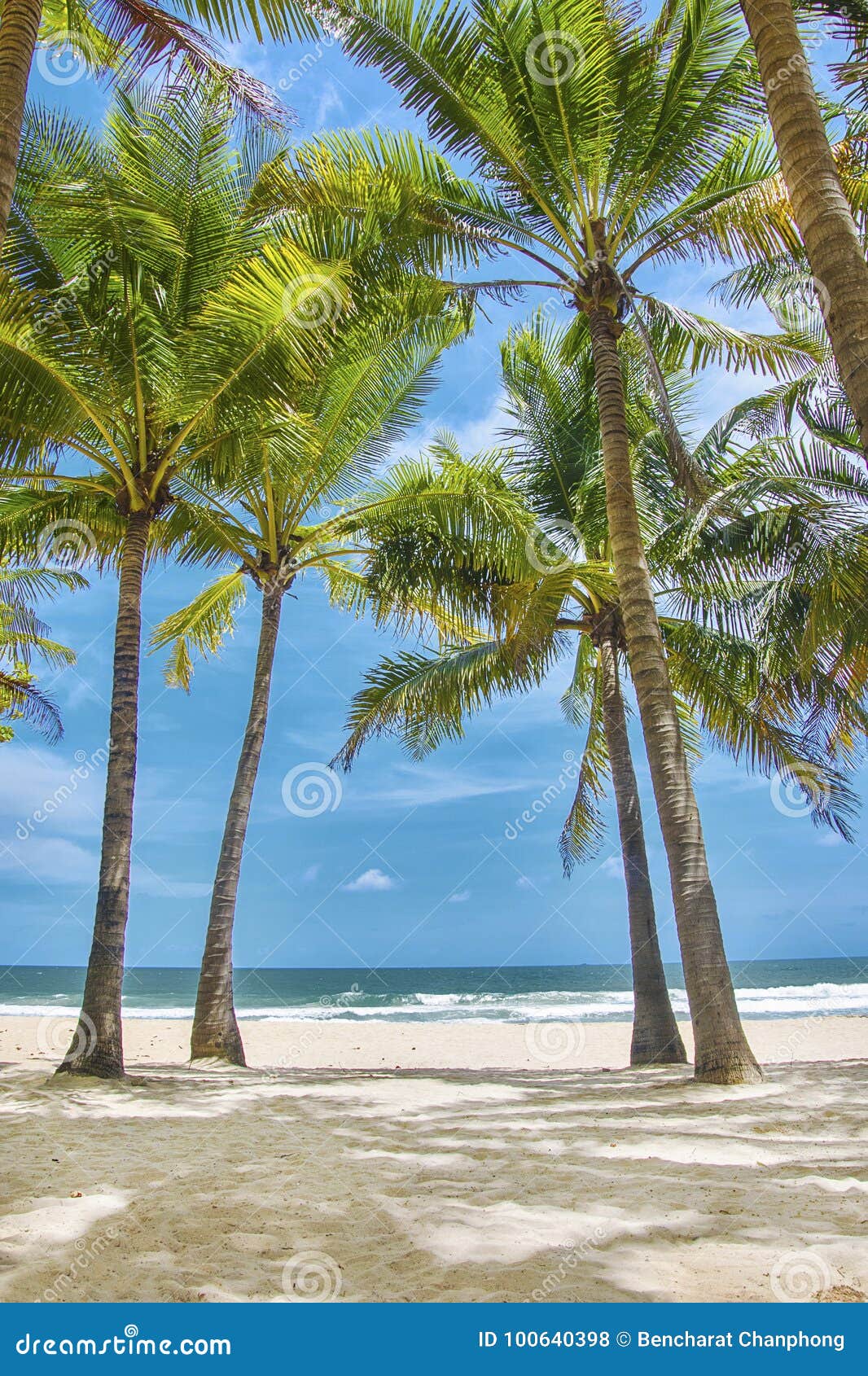 Beach in sunset time stock photo. Image of beauty, outdoor - 100640398