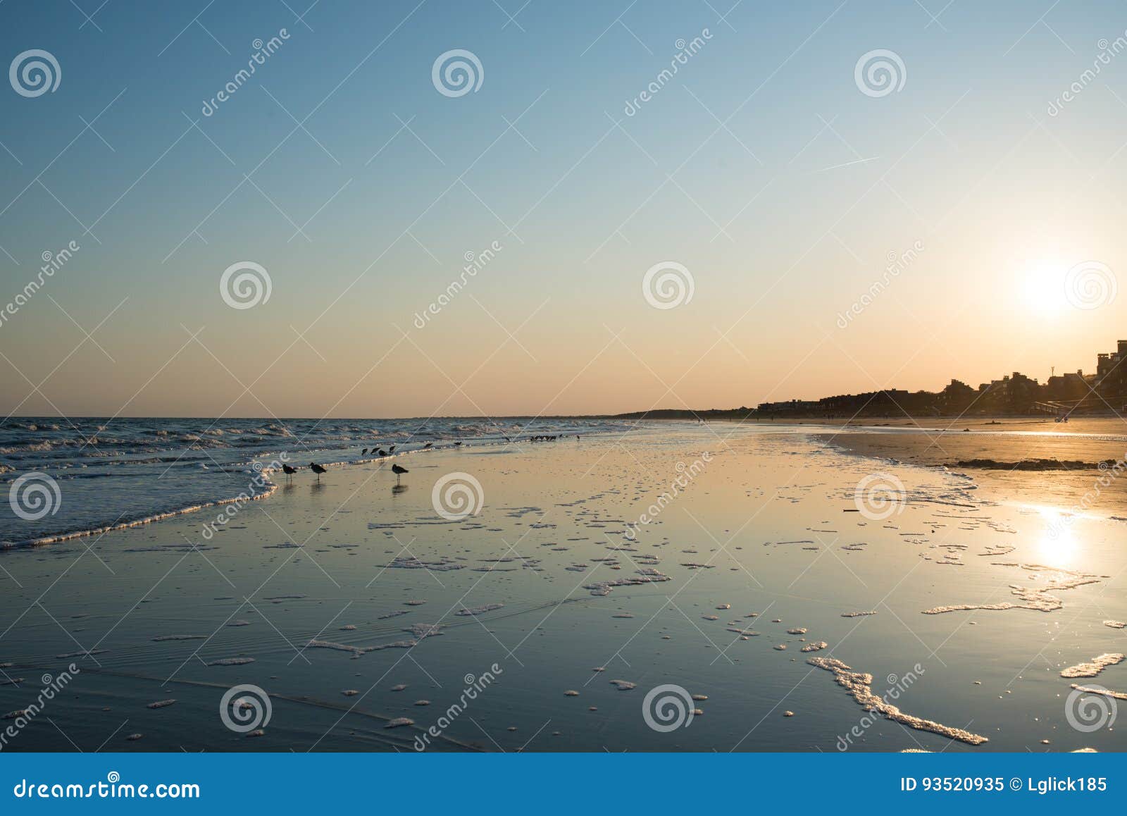 Beach sunset stock image. Image of birds, blue, shell - 93520935