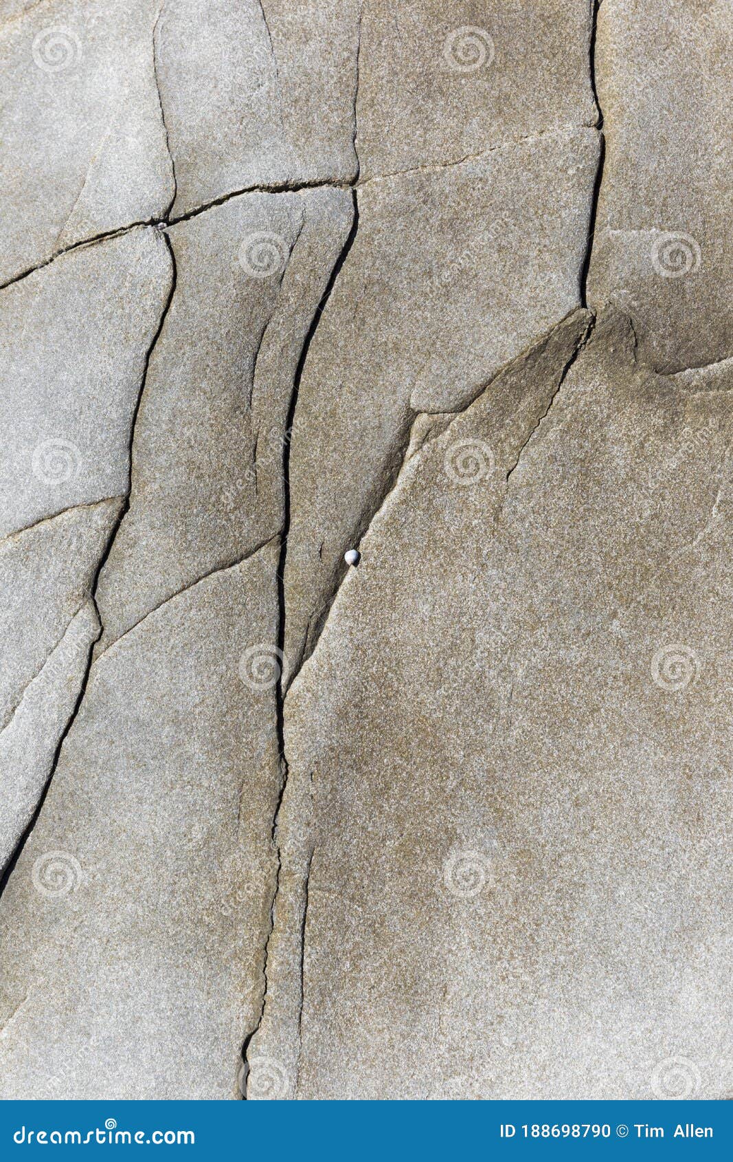 Beach Surface Cracked Rock Surface with Shadow Intentations Stock Photo ...