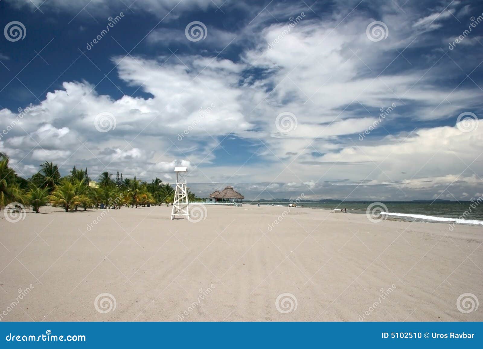 Beach in Tela stock photo. Image of island, plants, beach - 5102510