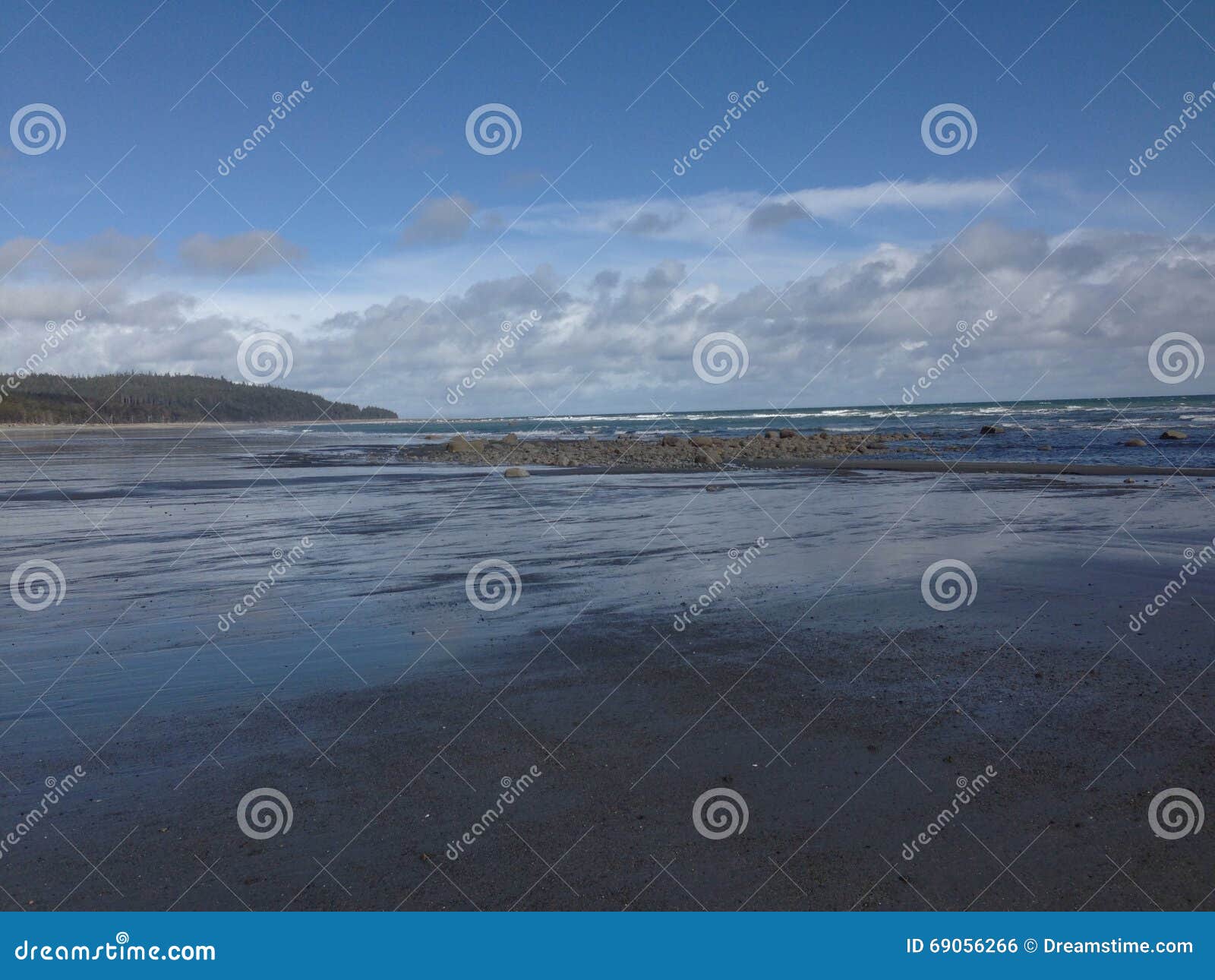 Beach stock photo. Image of beach, tide, sand, trees - 69056266