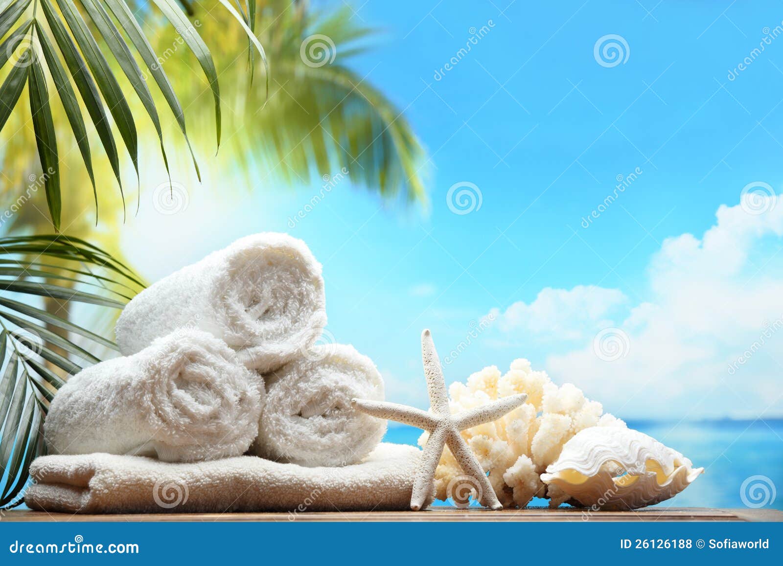 Beach time stock photo. Image of body, exotic, holiday - 26126188