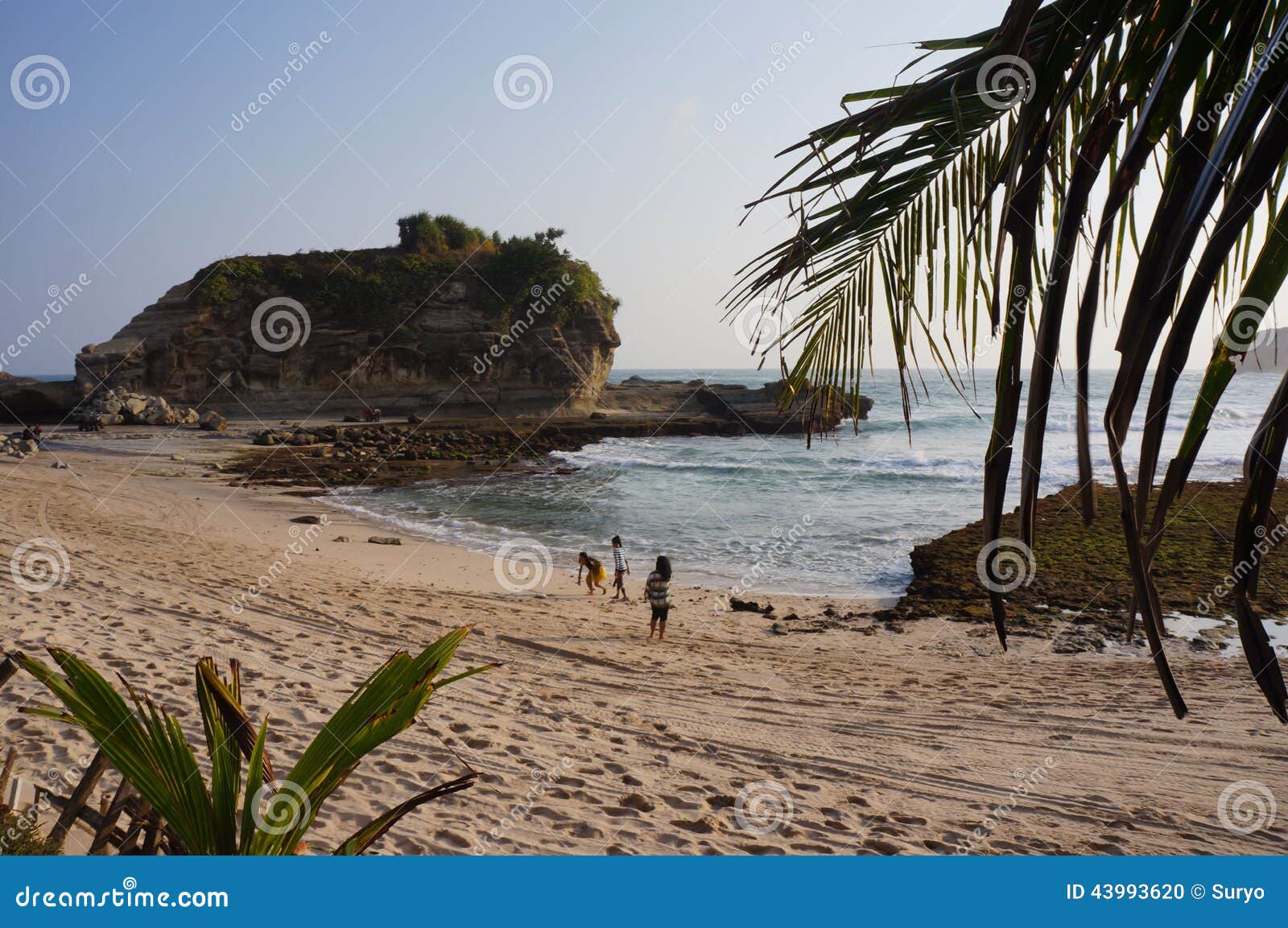 Beach editorial image. Image of east, pacitan, java, receded - 43993620