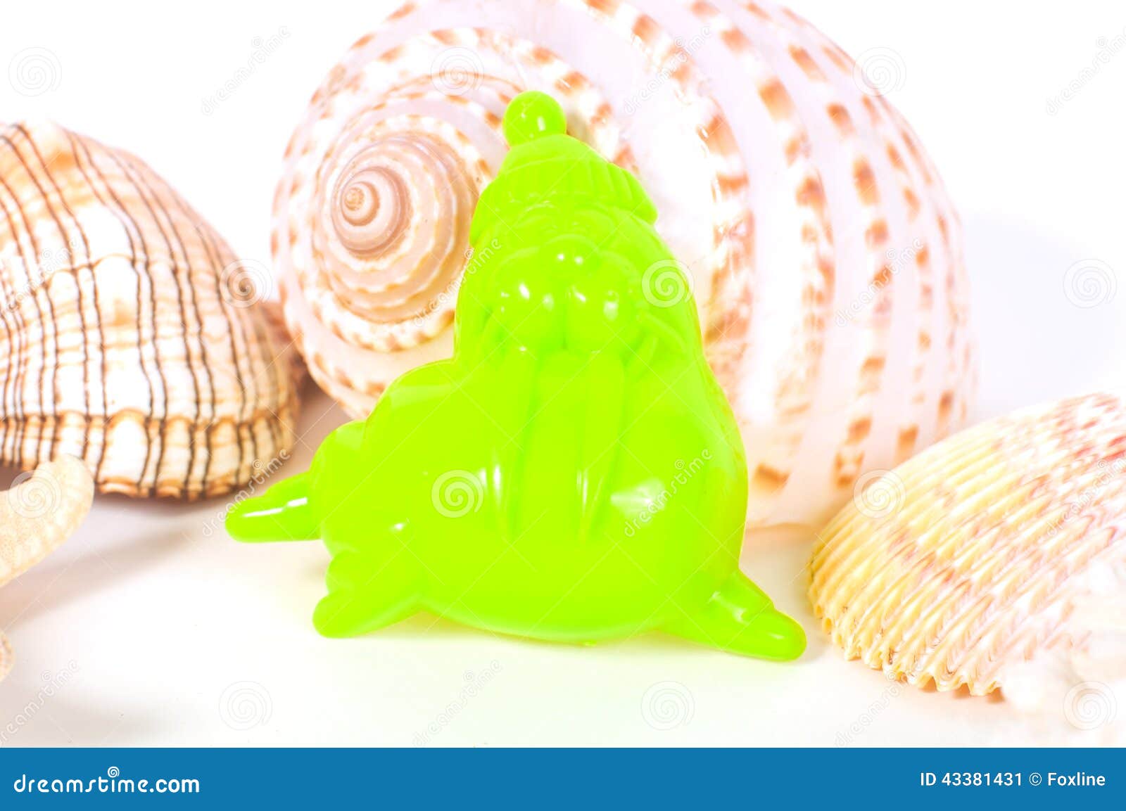 Beach Toys And Seashells On White Background Stock Image - Image of ...