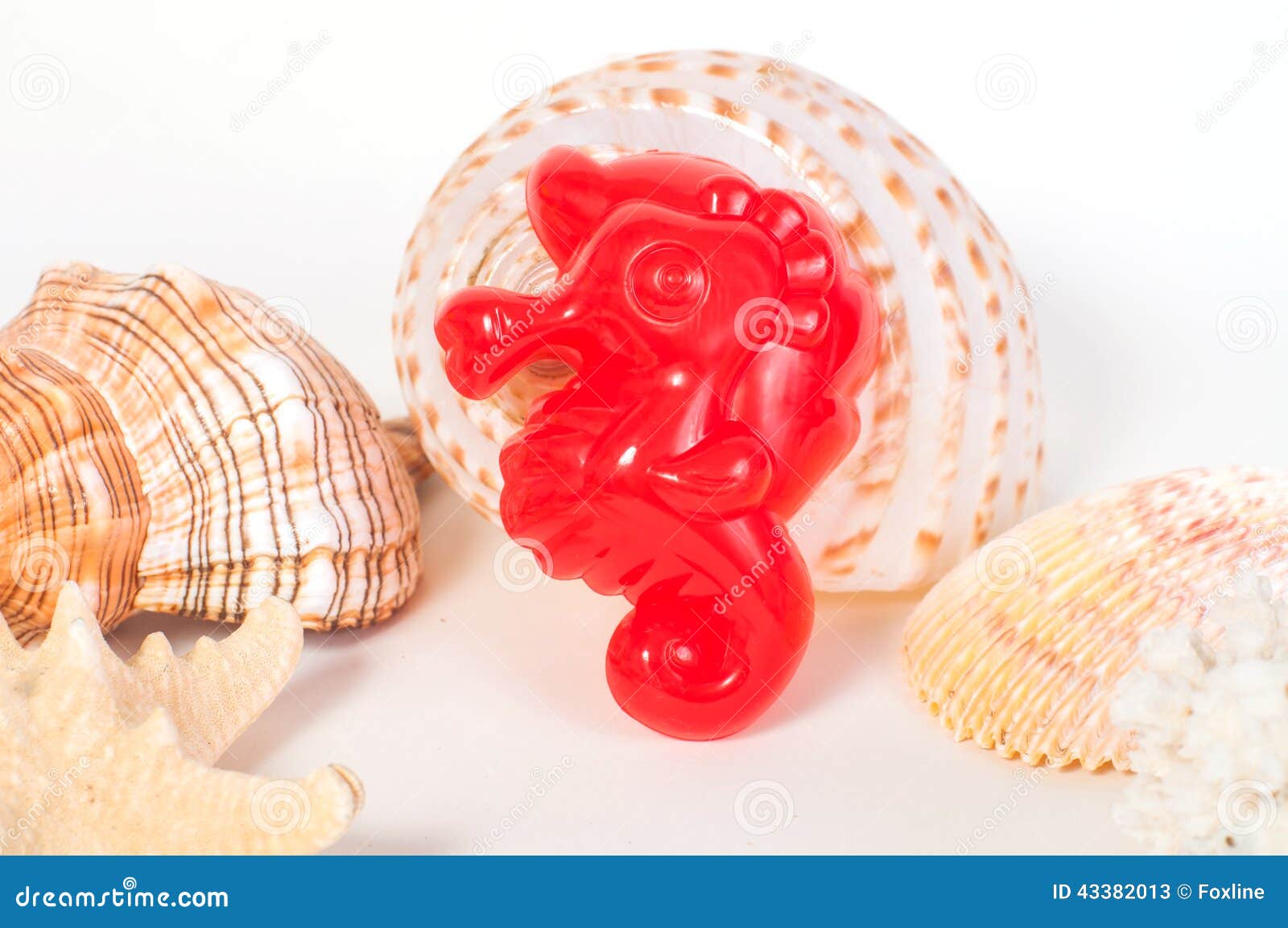 Beach Toys and Seashells on White Background Stock Image - Image of ...