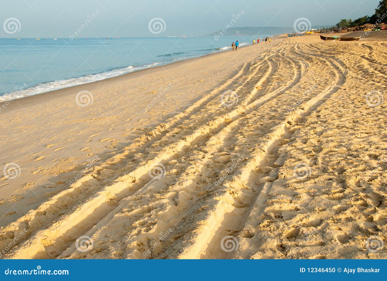 Beach Tracks stock photo. Image of footprint, horizontal - 12346450