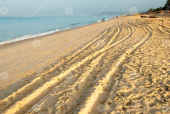 Beach Tracks stock photo. Image of footprint, horizontal - 12346450
