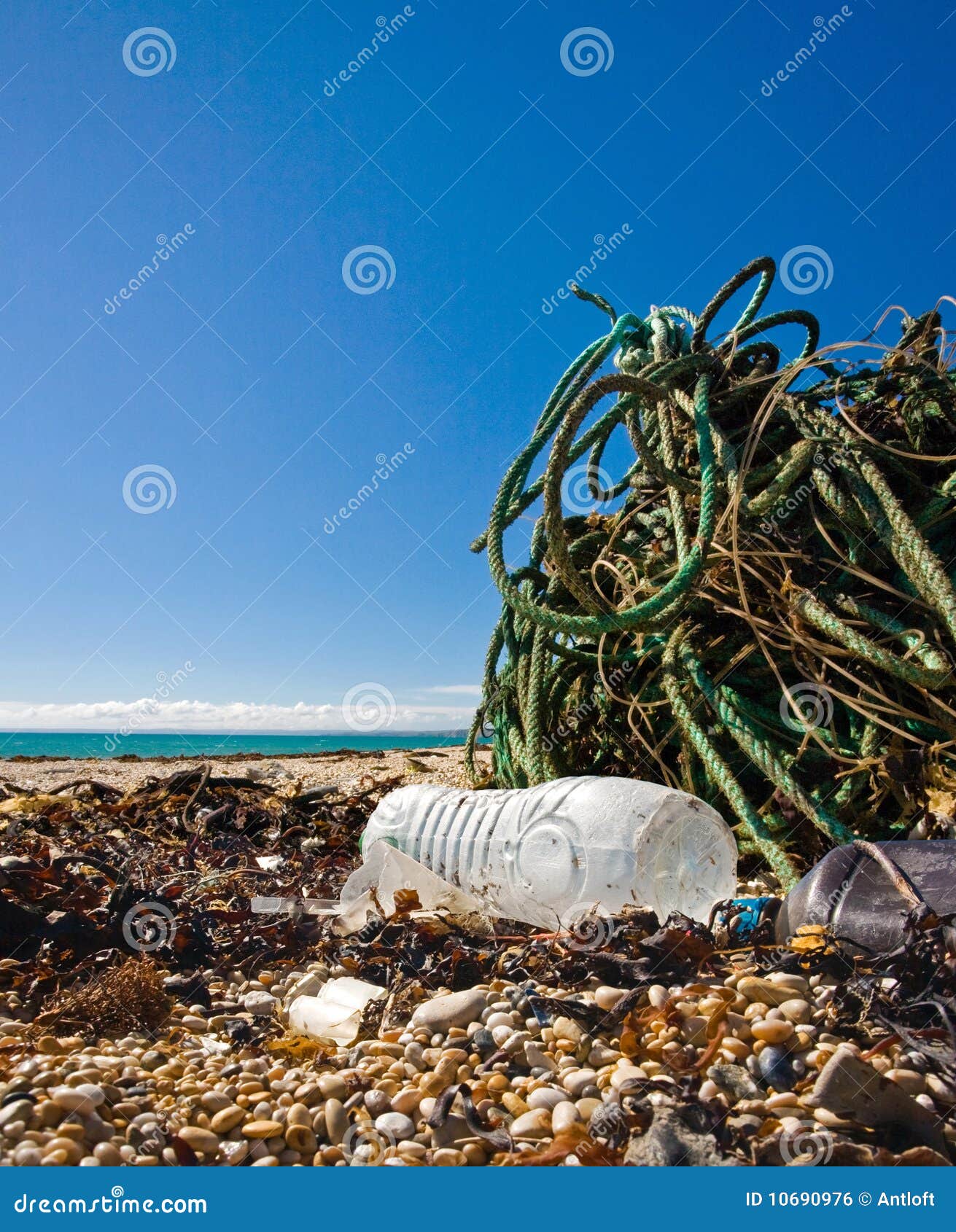 Beach trash stock photo. Image of health, green, ocean - 10690976