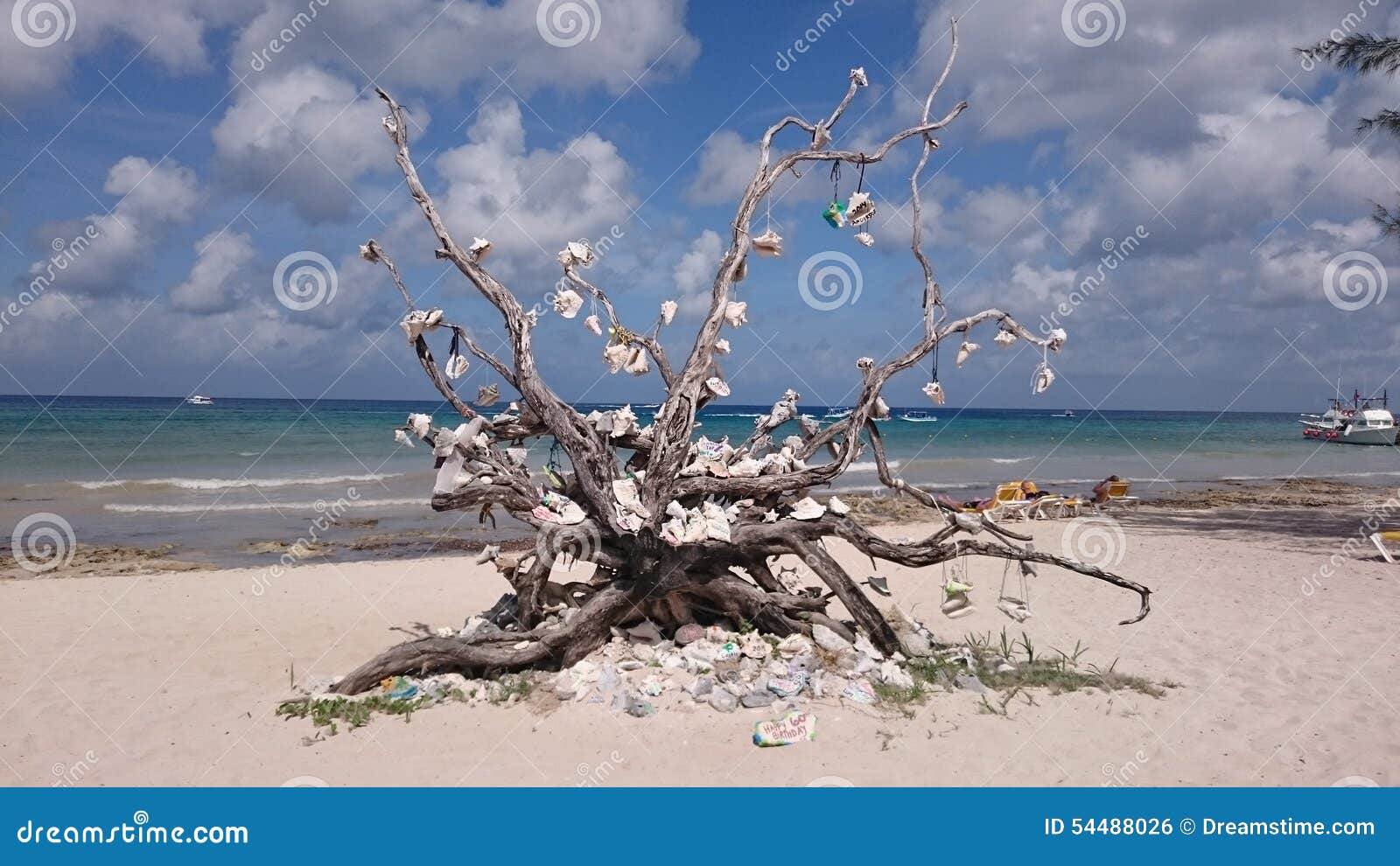 Shell In Tree With Sky Background Stock Image | CartoonDealer.com #95805679