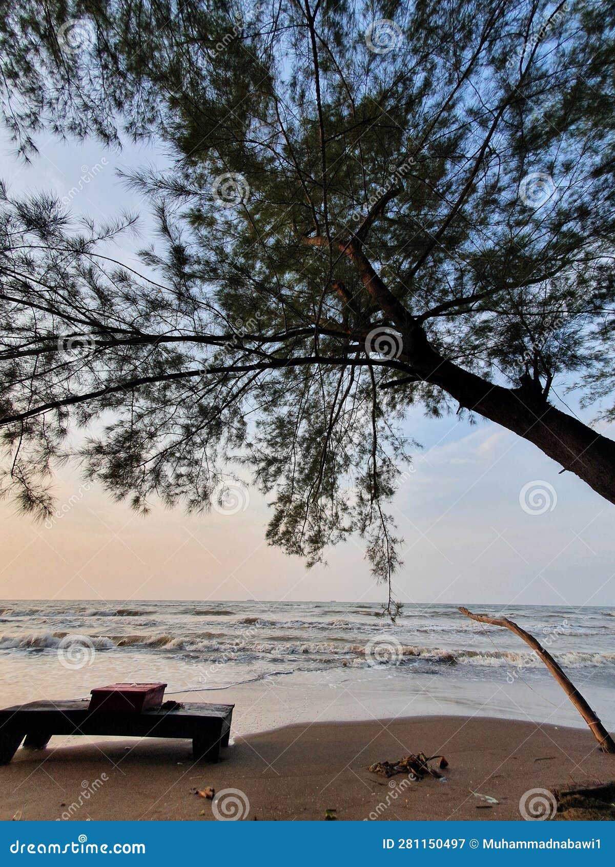 Beach and Tree Waves Landscape Alam Stock Image - Image of tree ...