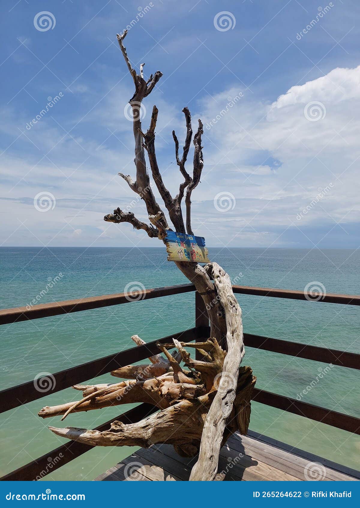 Beach trees balcony stock photo. Image of blue, beach - 265264622