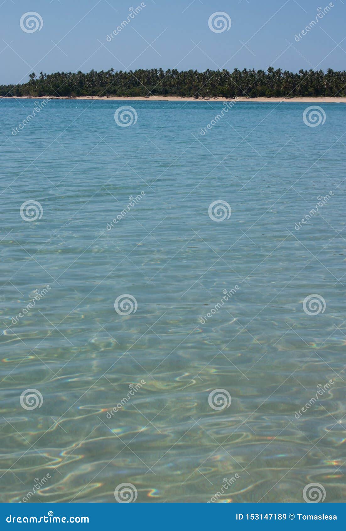 A Beach with Trees in the Distance and the Sea in Tonga Stock Image ...