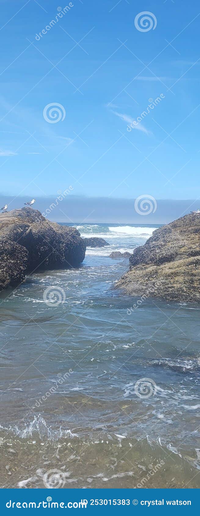 Beach Trip Down on the Sand Stock Image - Image of rock, wall: 253015383
