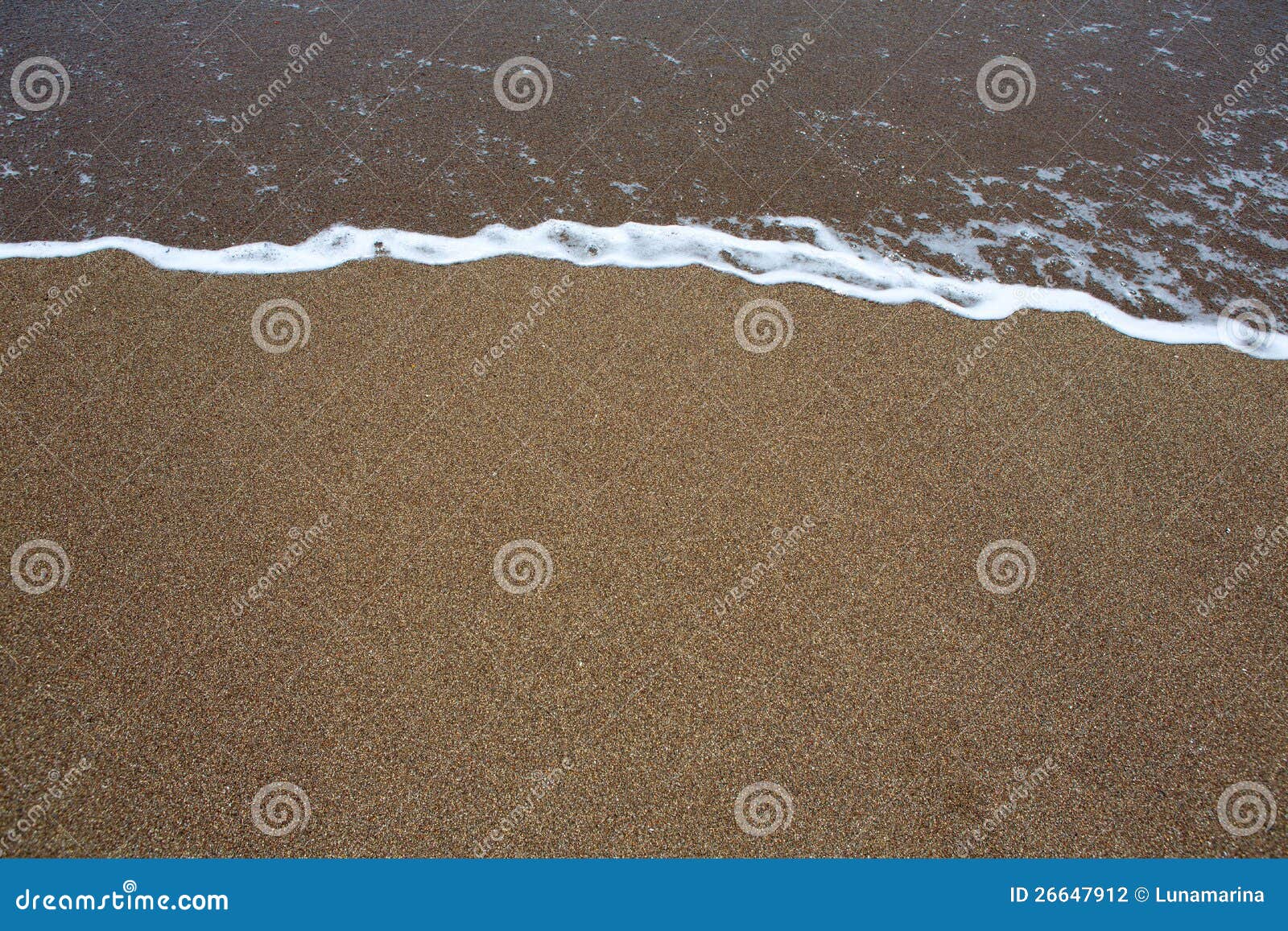 Beach Tropical with Brown Sand and Clear Water Stock Photo - Image of ...