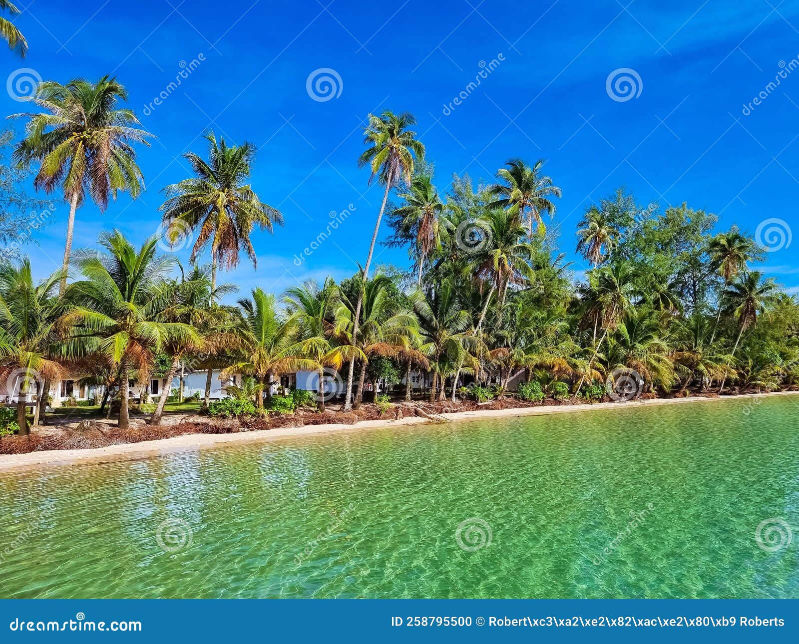 Beach Tropical Vibes, Thailand Stock Photo - Image of jungle, resort ...