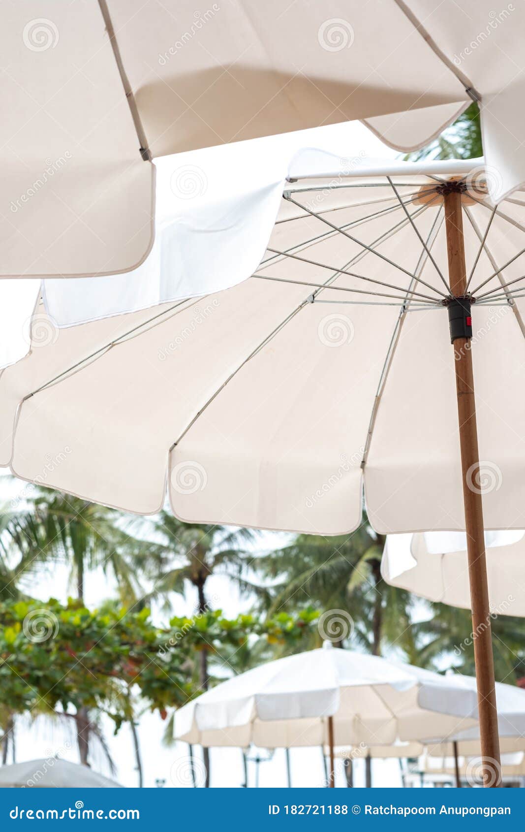 Beach Umbrellas, Poolside in Oriental Tropical Beach Resort Stock Photo ...